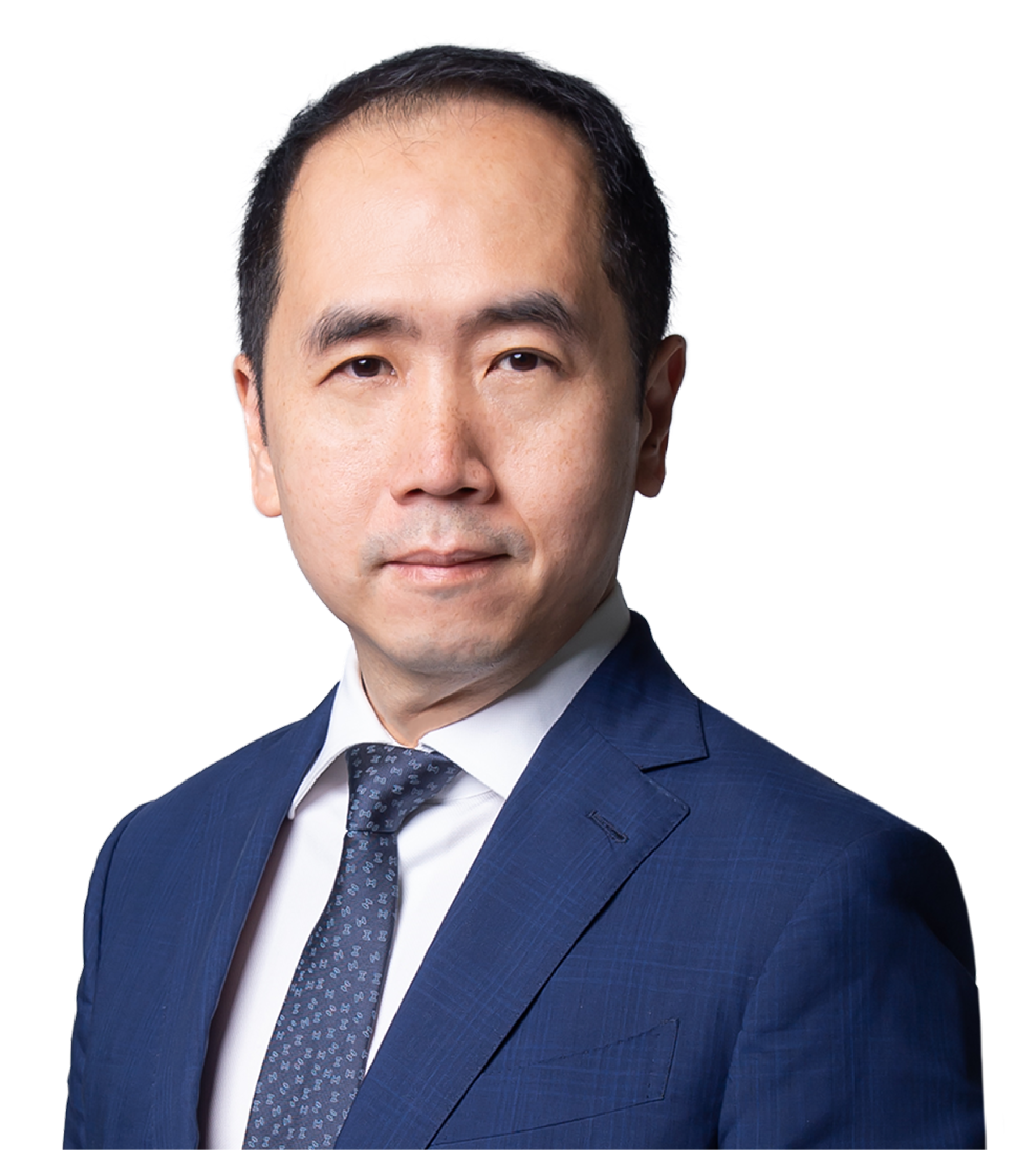 PT Avia Avian Tbk. - Avian Brands