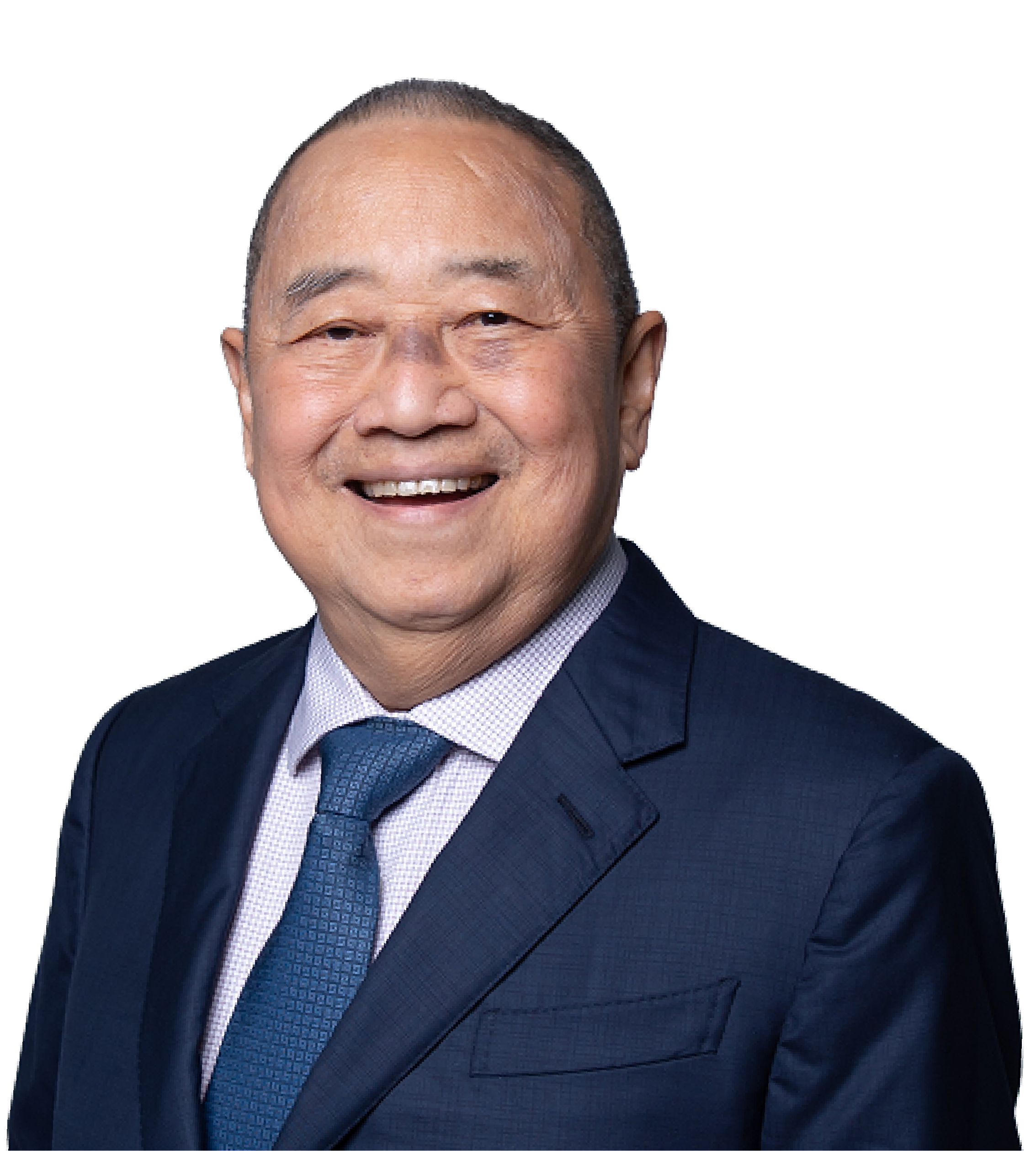 PT Avia Avian Tbk. - Avian Brands